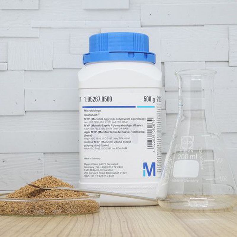 MYP AGAR (BASE) 500G