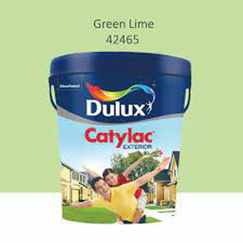 Cat Tembok Catylac Dulux Dream Line Hijau Cat Luar 2 Pil