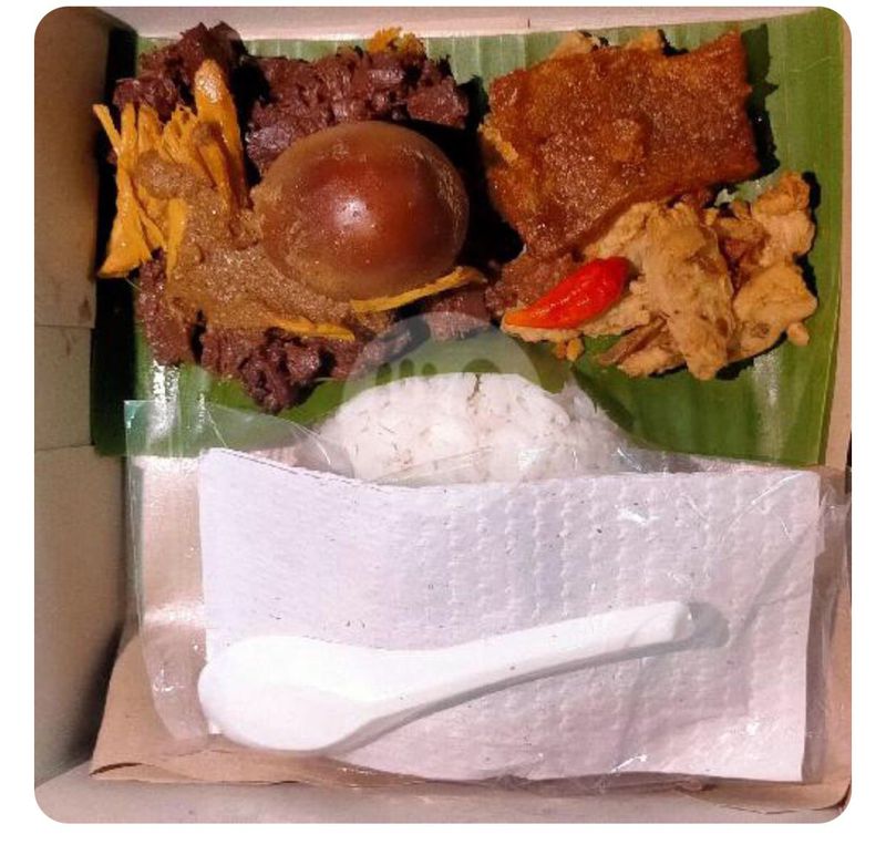 nasi gudeg ayam suwir telur