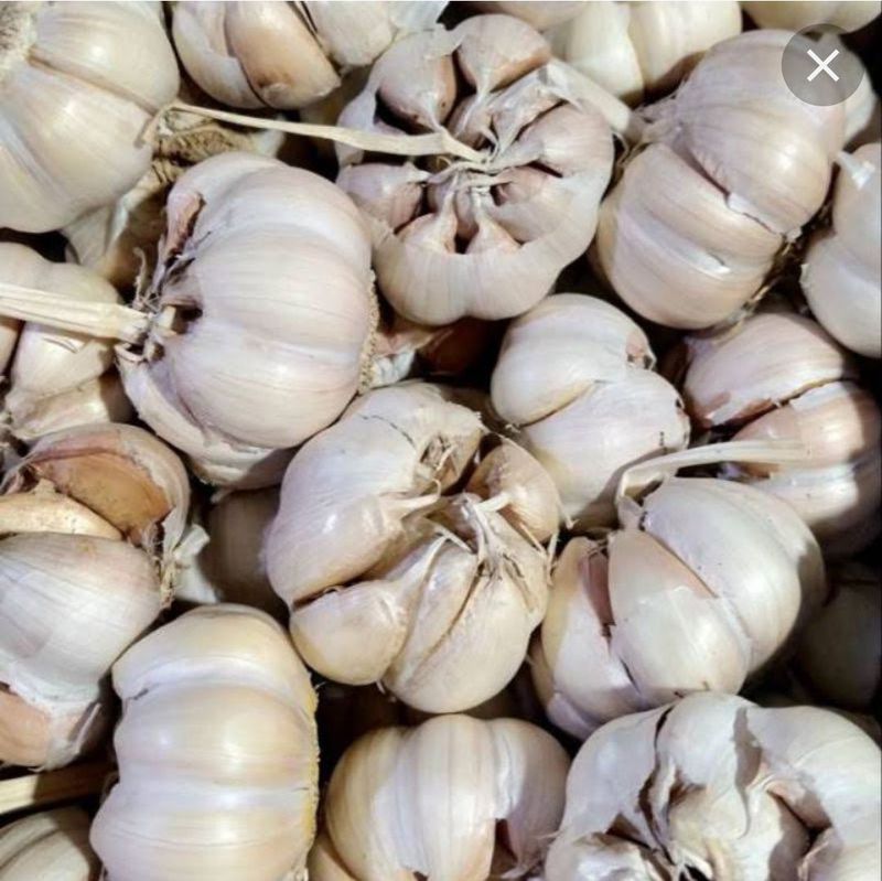 Bawang