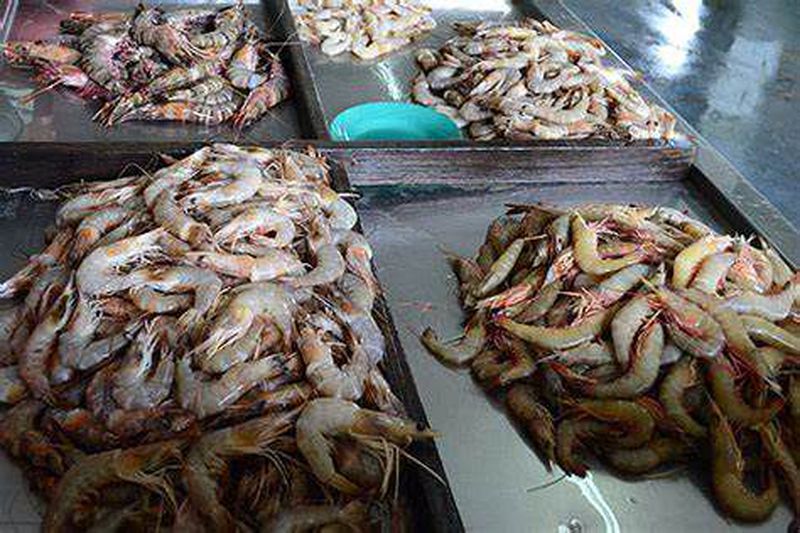 Udang Basah