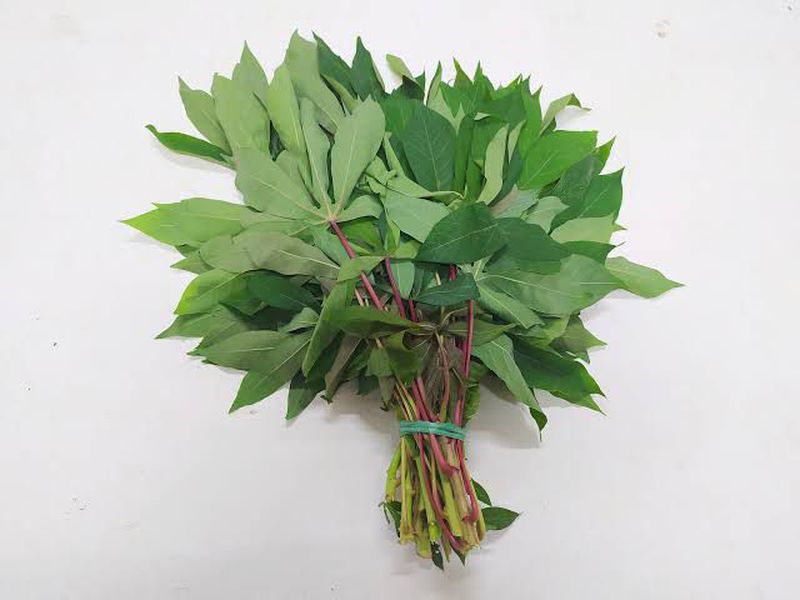 Pucuk Daun Ubi/Daun Singkong