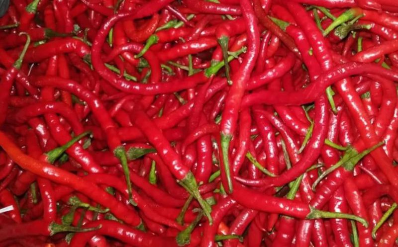 Cabai Merah