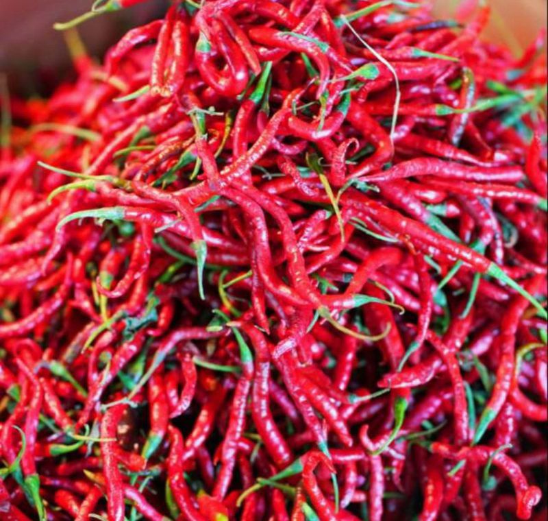 Cabe Merah