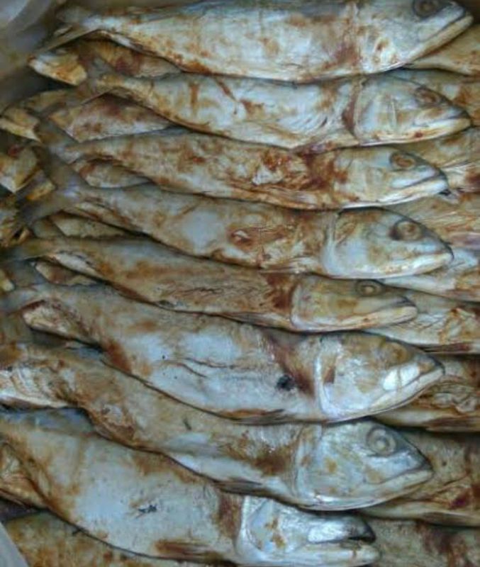 Ikan Peda