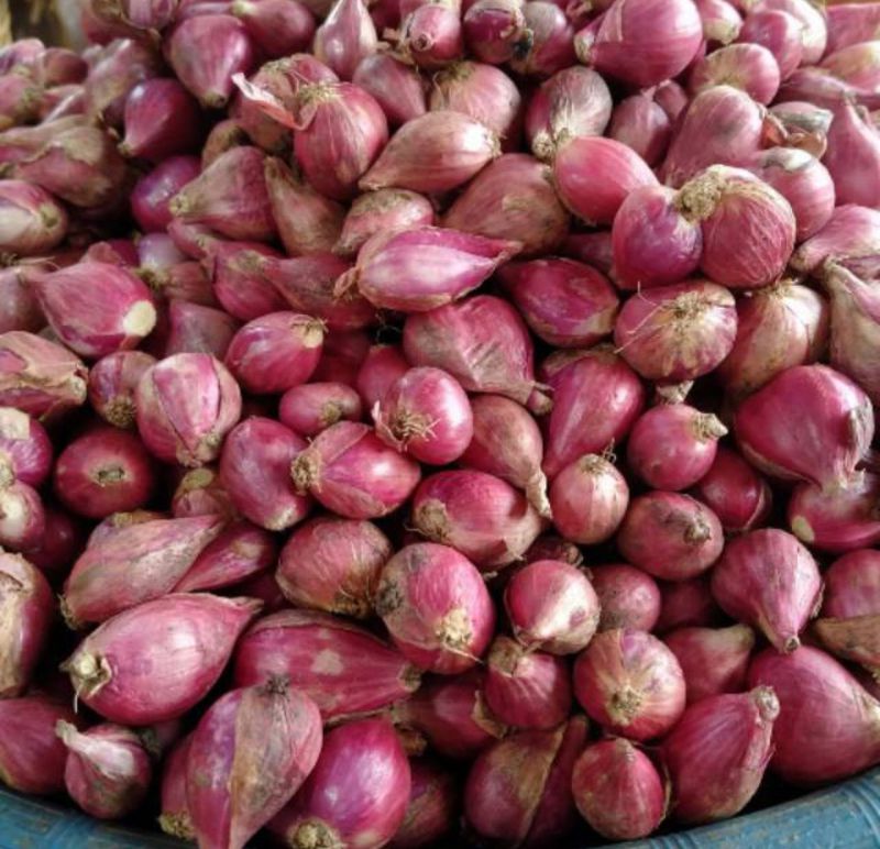 Bawang Merah