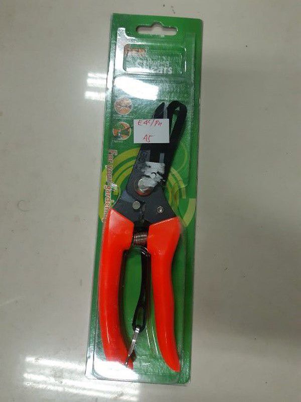 Gunting Furing Tiger