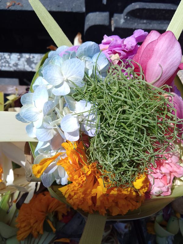 Canang Ceper/canang kotak