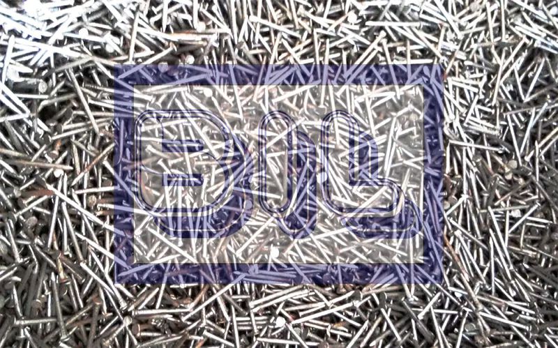 Paku berbagai ukuran