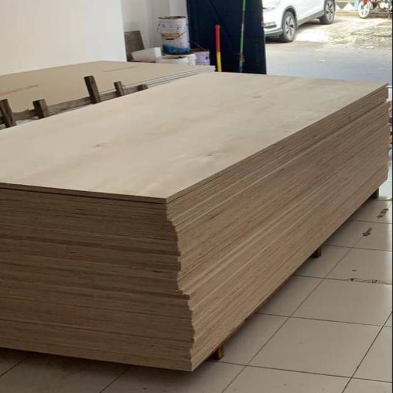 Multipleks 120 x 240 (15mm)