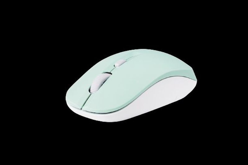 PRO-LINK MOUSE PMW 6007