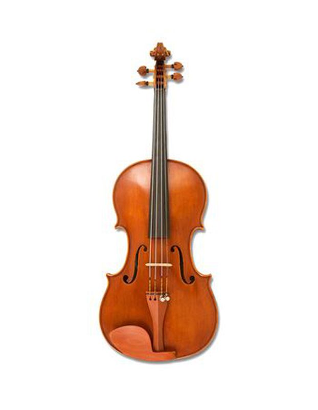 KRUTZ BIOLA 60 LAMINATED C 406 CELLO