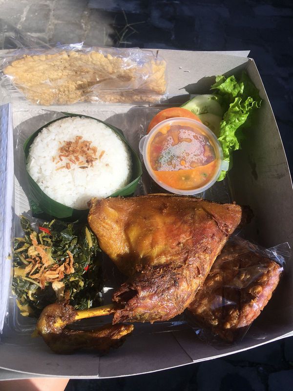 Nasi Box Bebek Goreng by Limasan Watuadeg