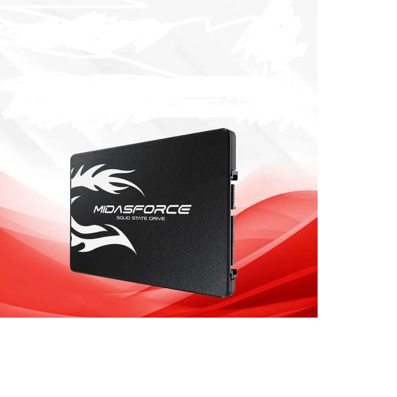 SSD Komputer Midasforce SSD Superlightning 256GB