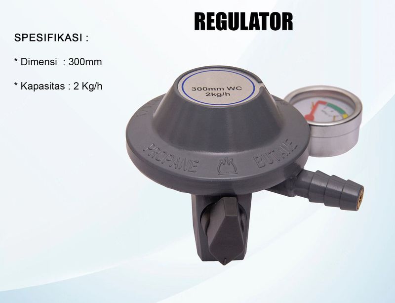 REGULATOR