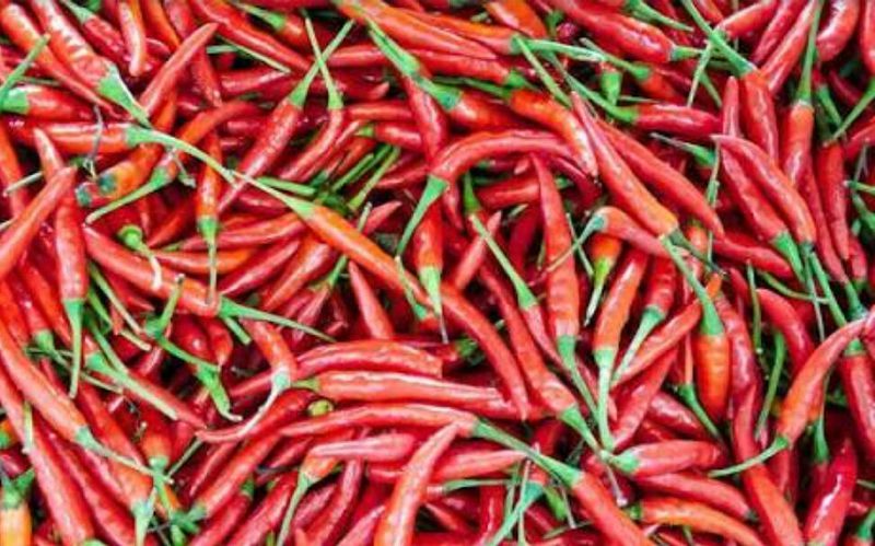 Cabe Merah