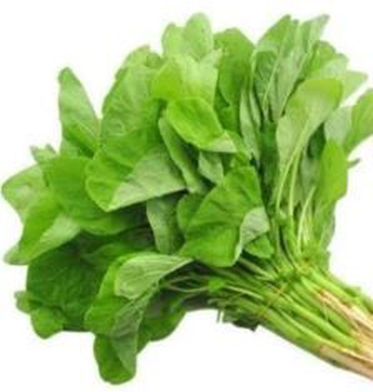 Bayam