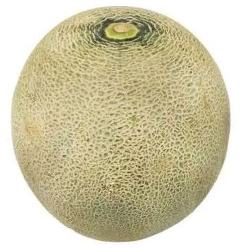 Melon