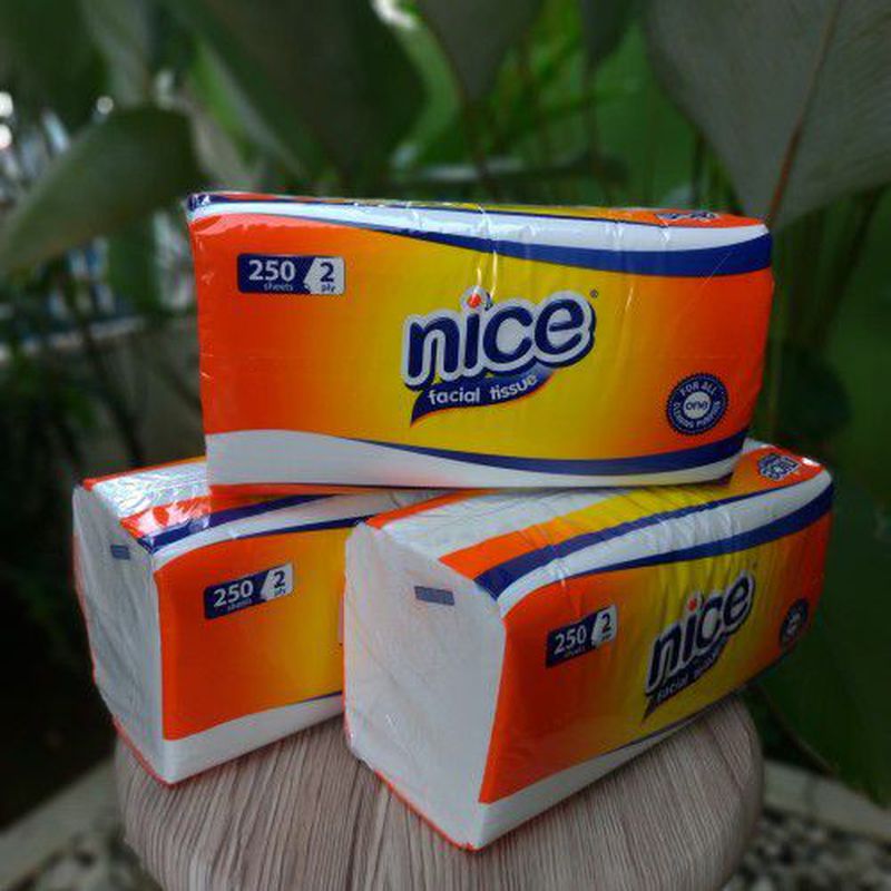 TISSUE NICE 250 SHEET 2 PLY
