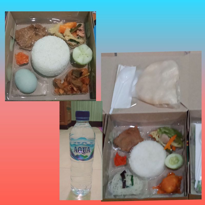 nasi kotak