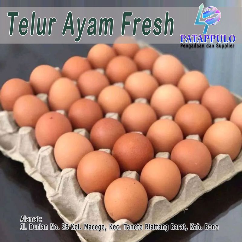 Telur Ayam Fresh