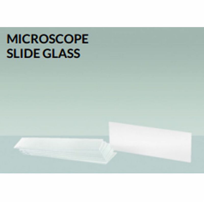 Normax Microscope Slide Glass 76 x 26 x 1 (mm) Cut Edges (50 pcs/pack ...
