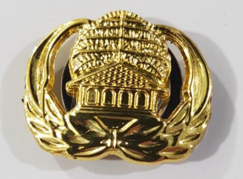 Pin Korpri ASN
