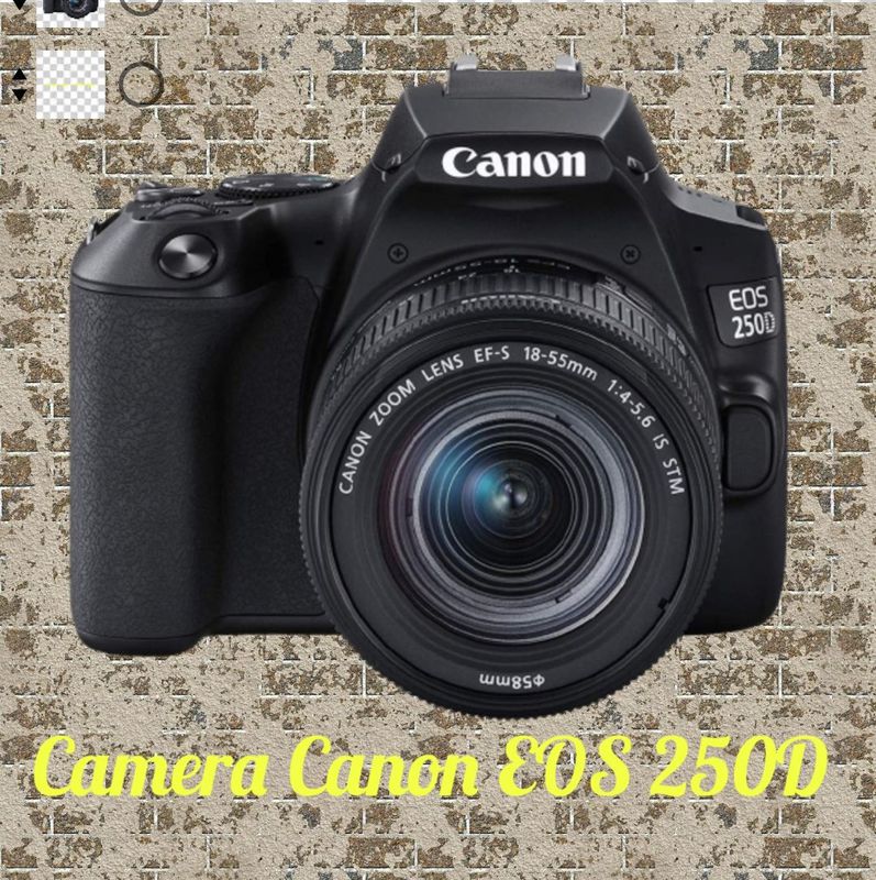 Canon EOS 250D