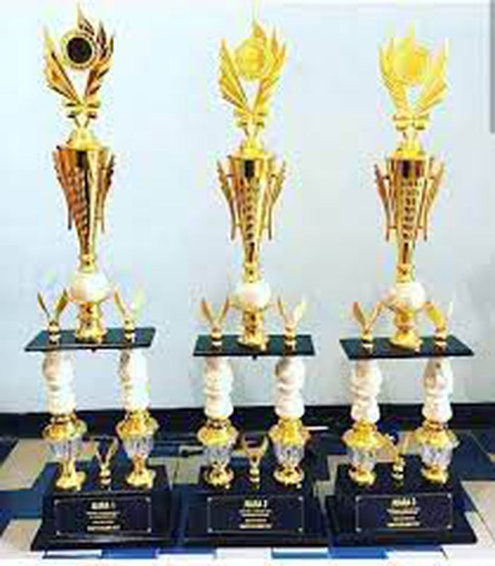 Piala / Throphy - Kecil
