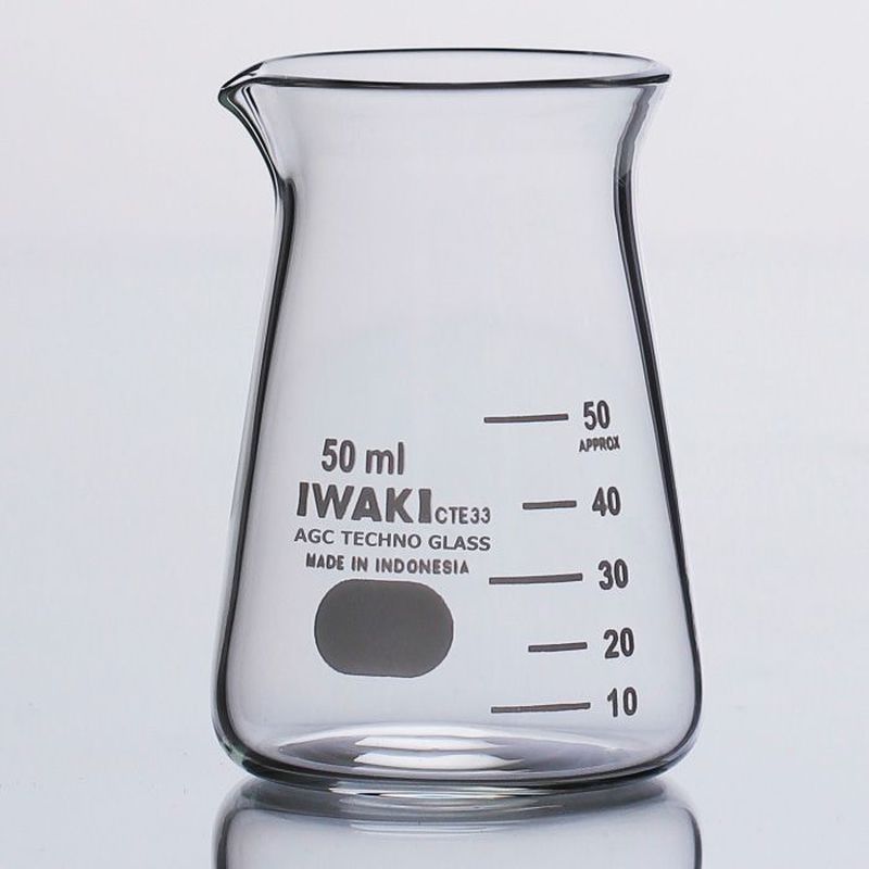 Beaker conical 500 ml
