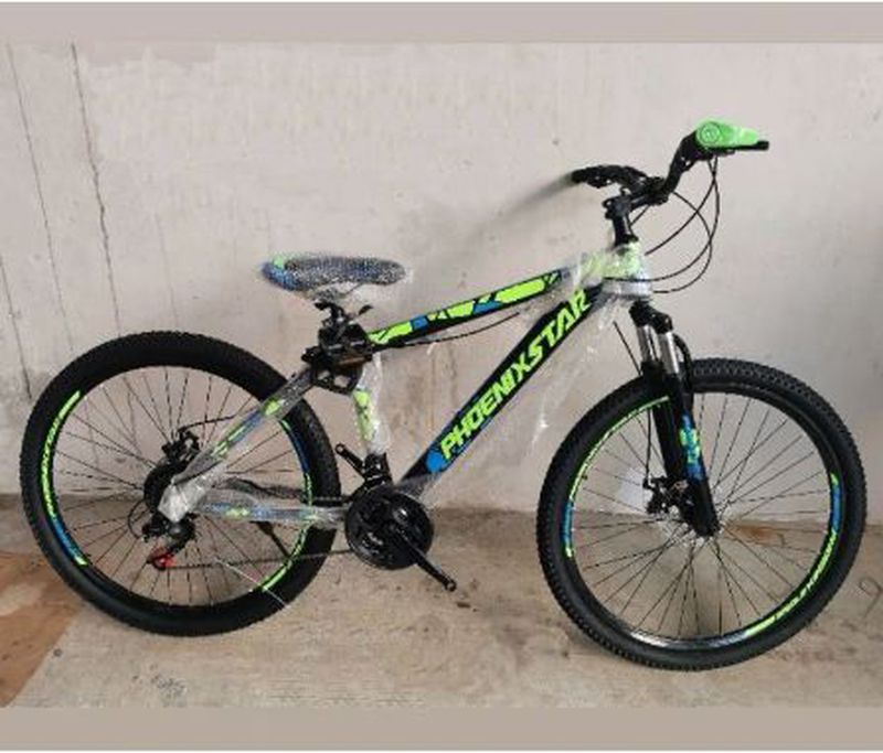 Sepeda Gunung Phoenix
