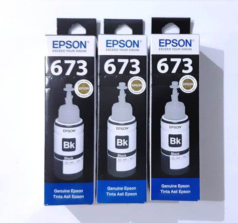 EPSON 673