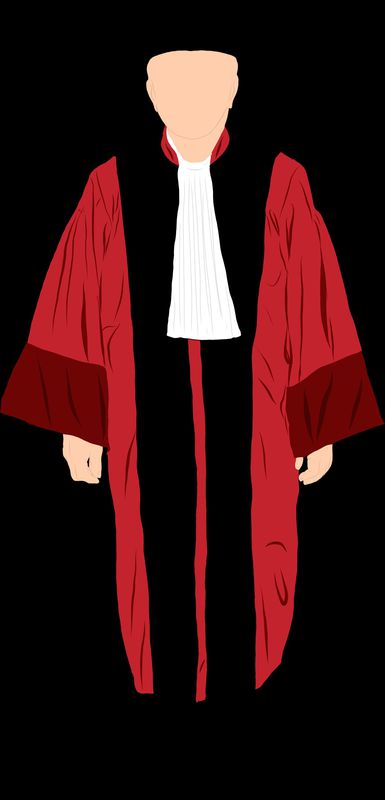 Toga Hakim
