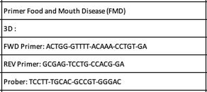 Primer Food and Mouth Disease (FMD) 3D