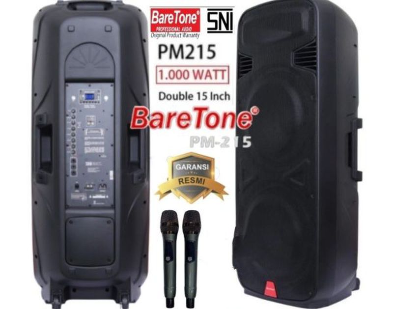 Baretone PM215 Speaker Portable 15 Inch Double 1000 Watt USB Bluetooth