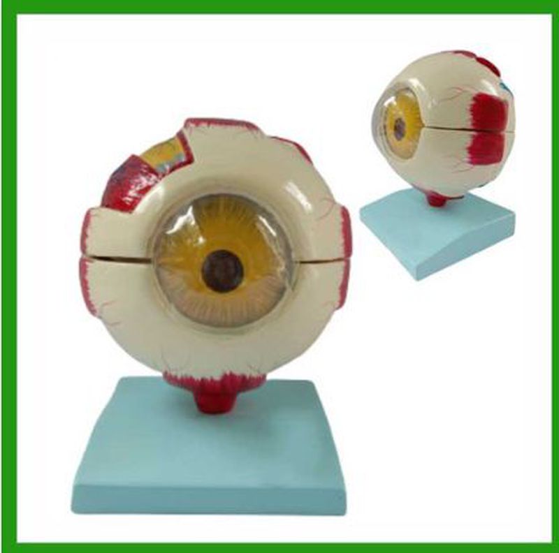 Phantom mata ukuran besar