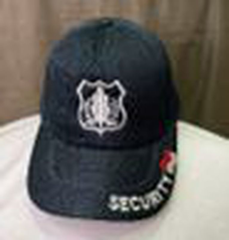 Topi PDH Security