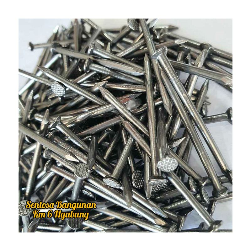 PAKU KAYU PAKU DINDING