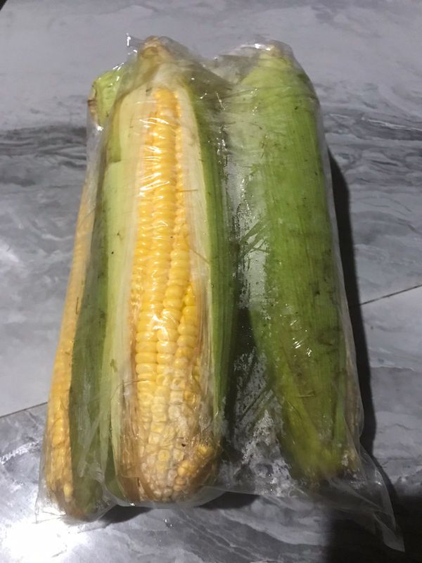 Jagung