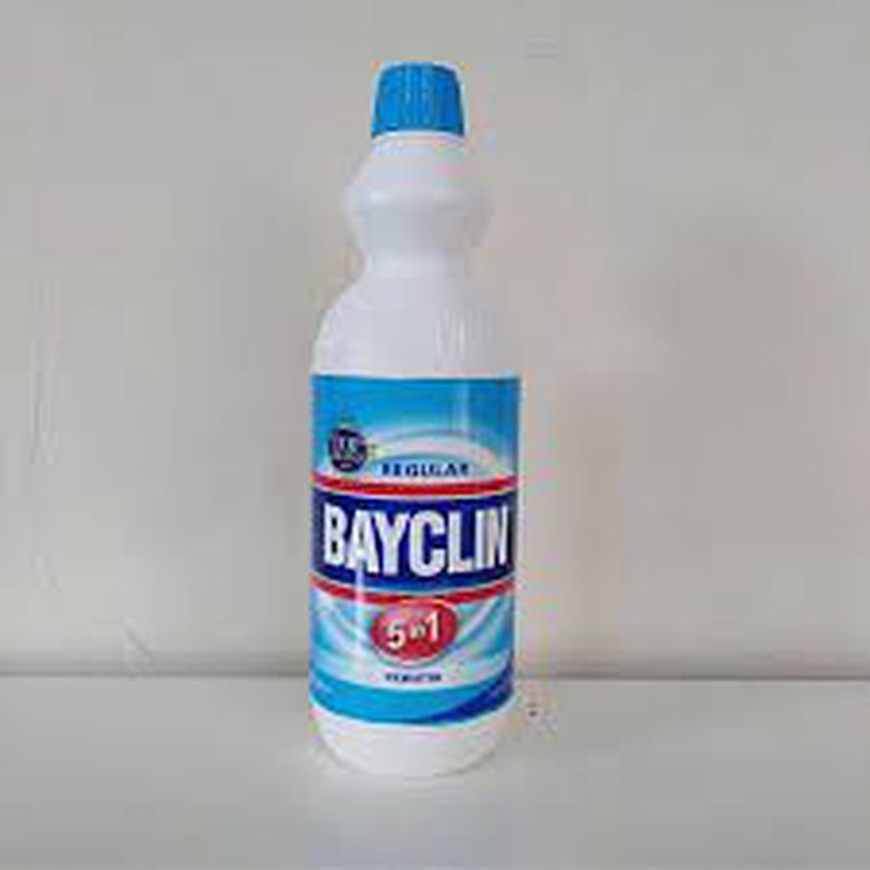 Bayclin