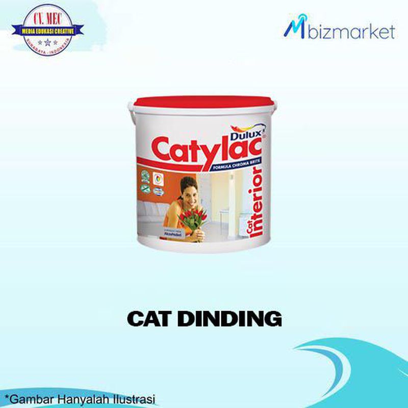 CAT DINDING