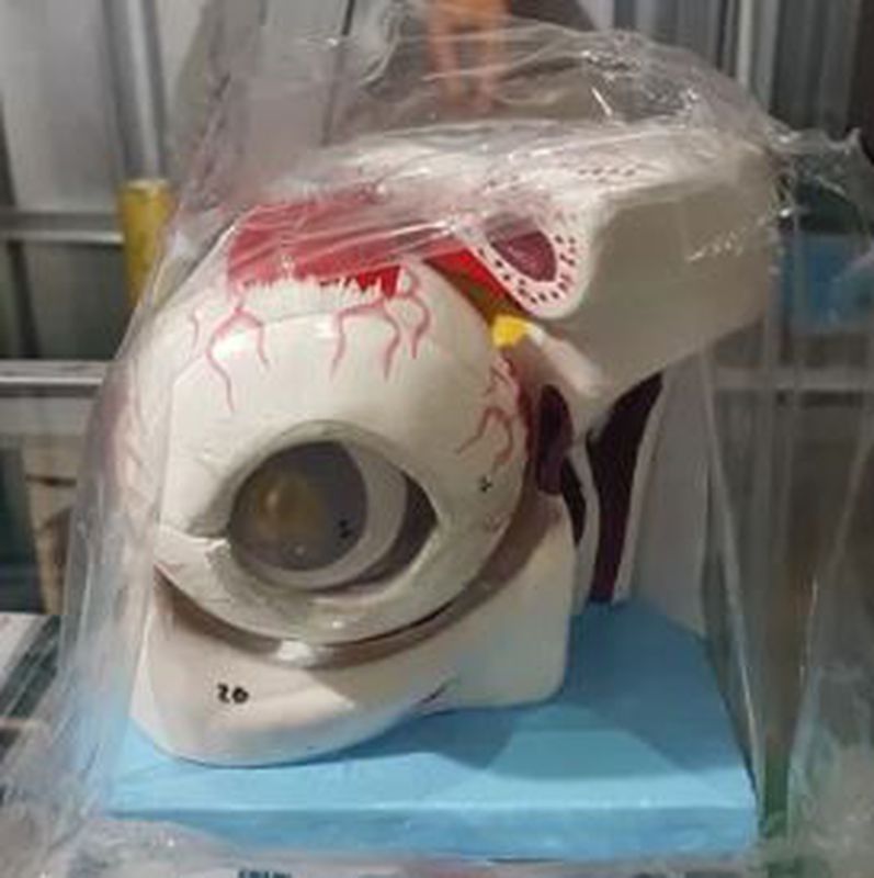 Phantom Mata Ukuran Asli