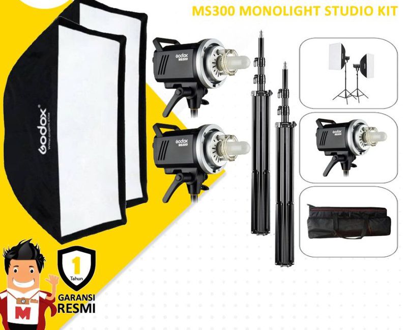 PAKET FLASH GODOX MS300