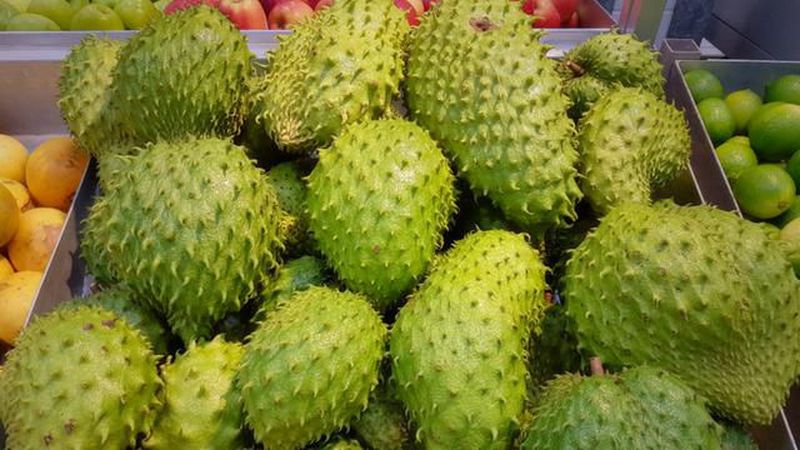 Sirsak