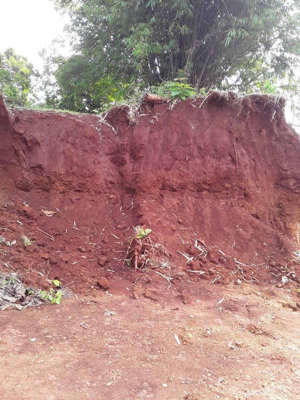 tanah merah