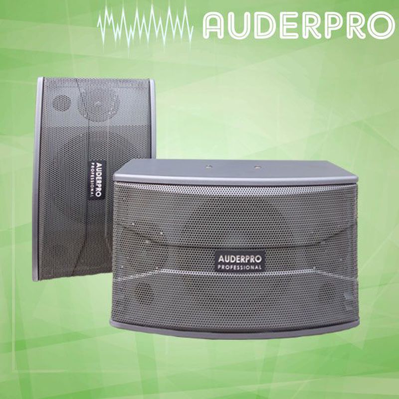 AuderPro AP-12KX Speaker Pasif 2x 12"