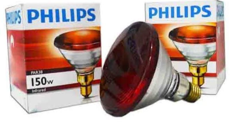 Bola lampu infra red