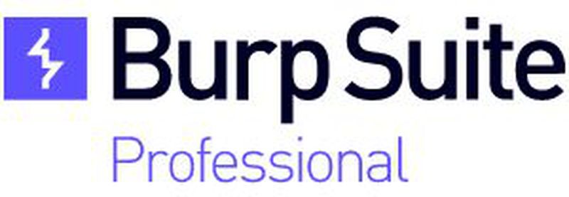 Burp Suite Professional