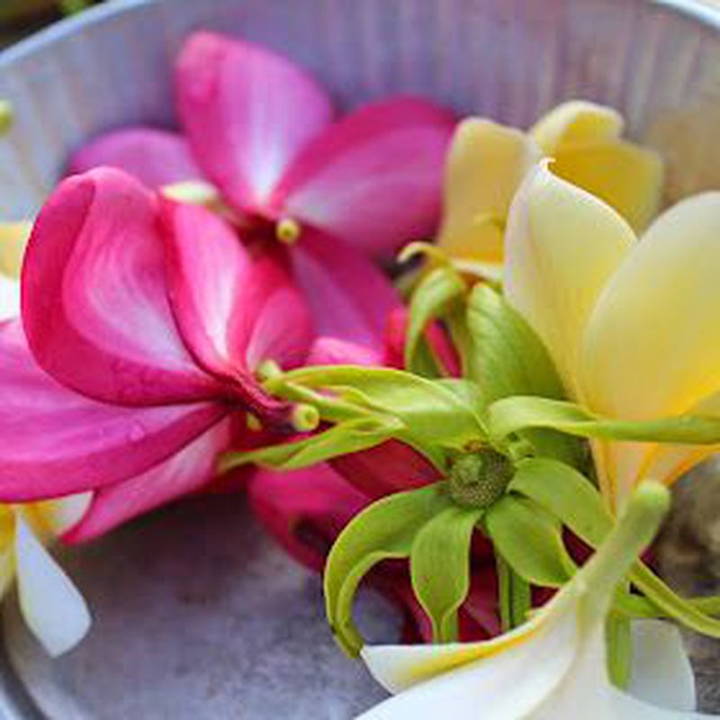 1 bungkus dupa dan 1 plastik bunga sembahyang