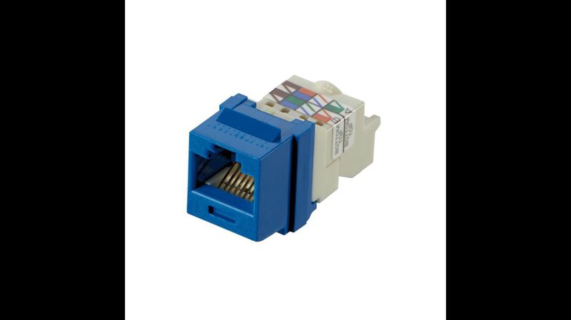 NK Cat 6 UTP Jack Module, TP Style, Blue